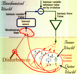 Mutuality -- Long Form Text